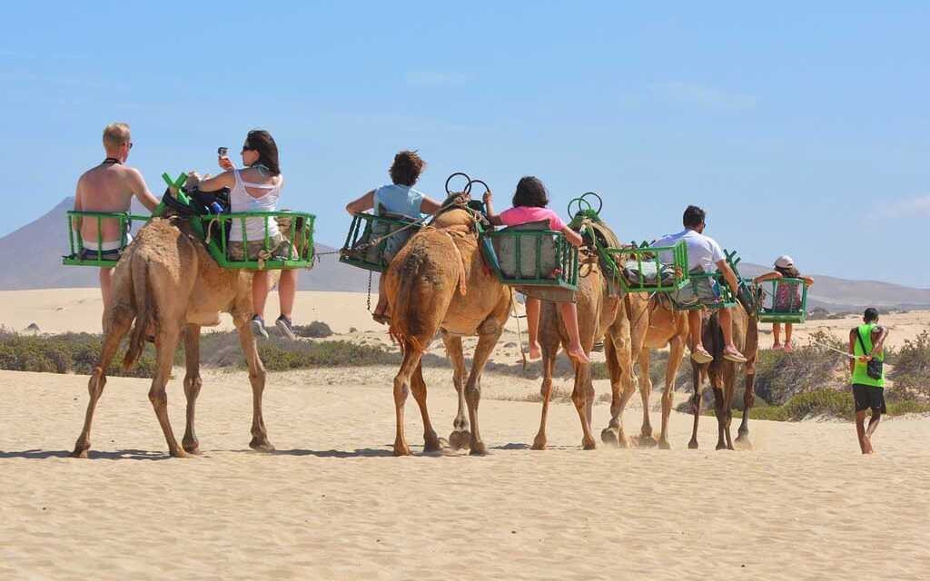 Top 8 Destinations for Camel or Dromedary Rides | Trip Contour